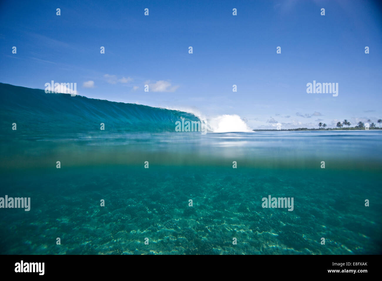 Ocean wave breaking Stock Photo - Alamy