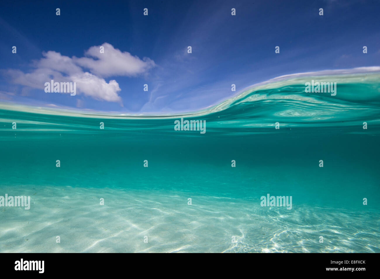 Split level view hi-res stock photography and images - Alamy