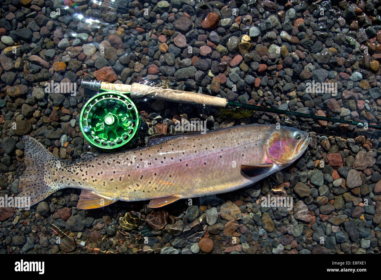 Catch of fish next to a fishing road on a riverbank Stock Photo - Alamy