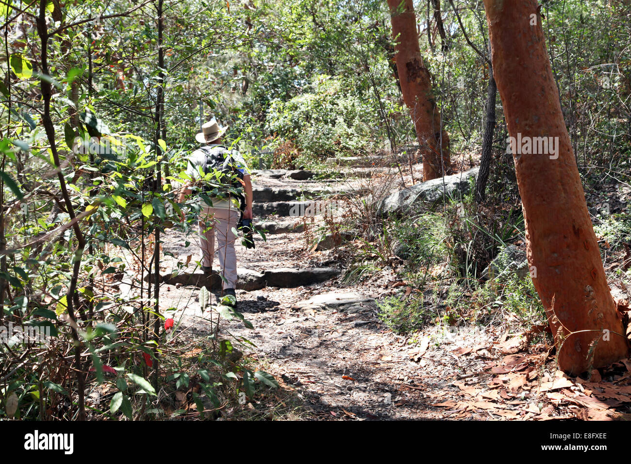 Man walking into forest hi-res stock photography and images - Alamy