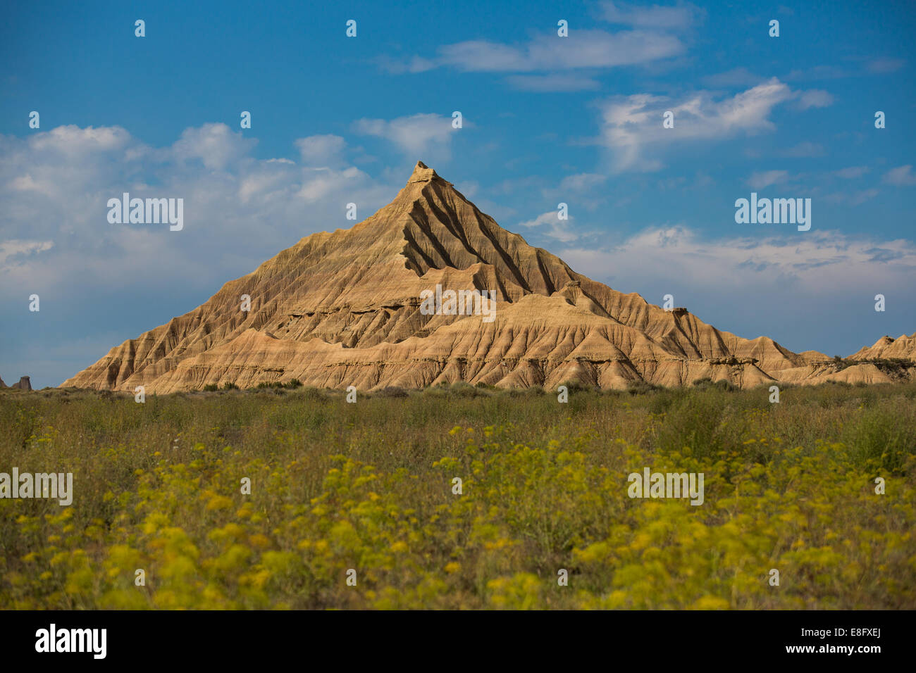 Timeworn beauty hi-res stock photography and images - Alamy