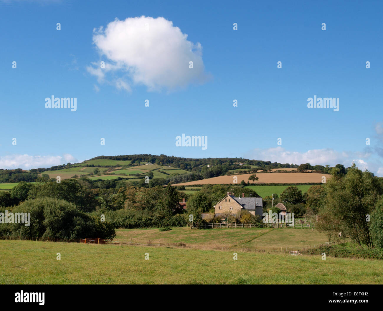 Chideock hill hi-res stock photography and images - Alamy