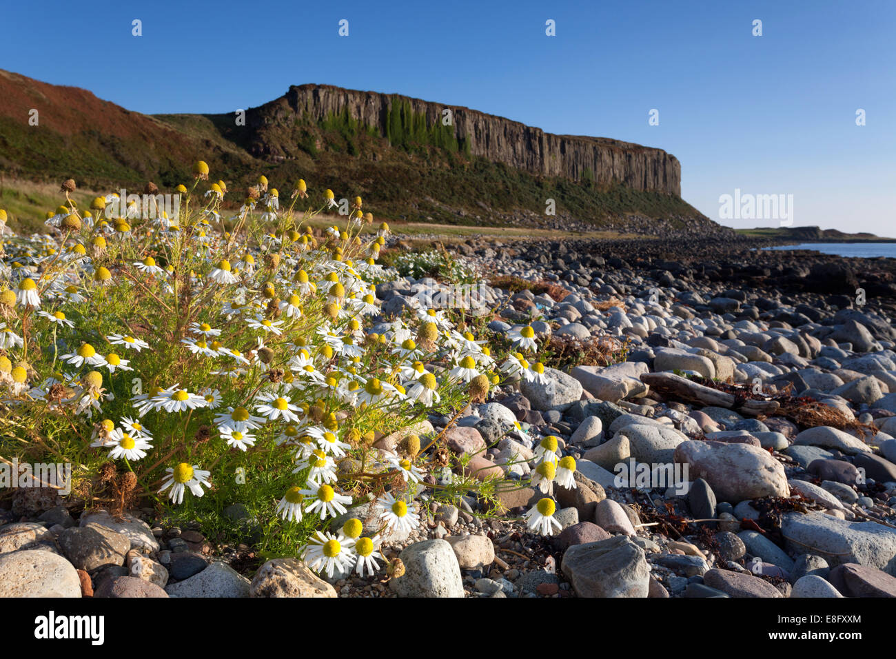 Arran High Resolution Stock Photography and Images - Alamy