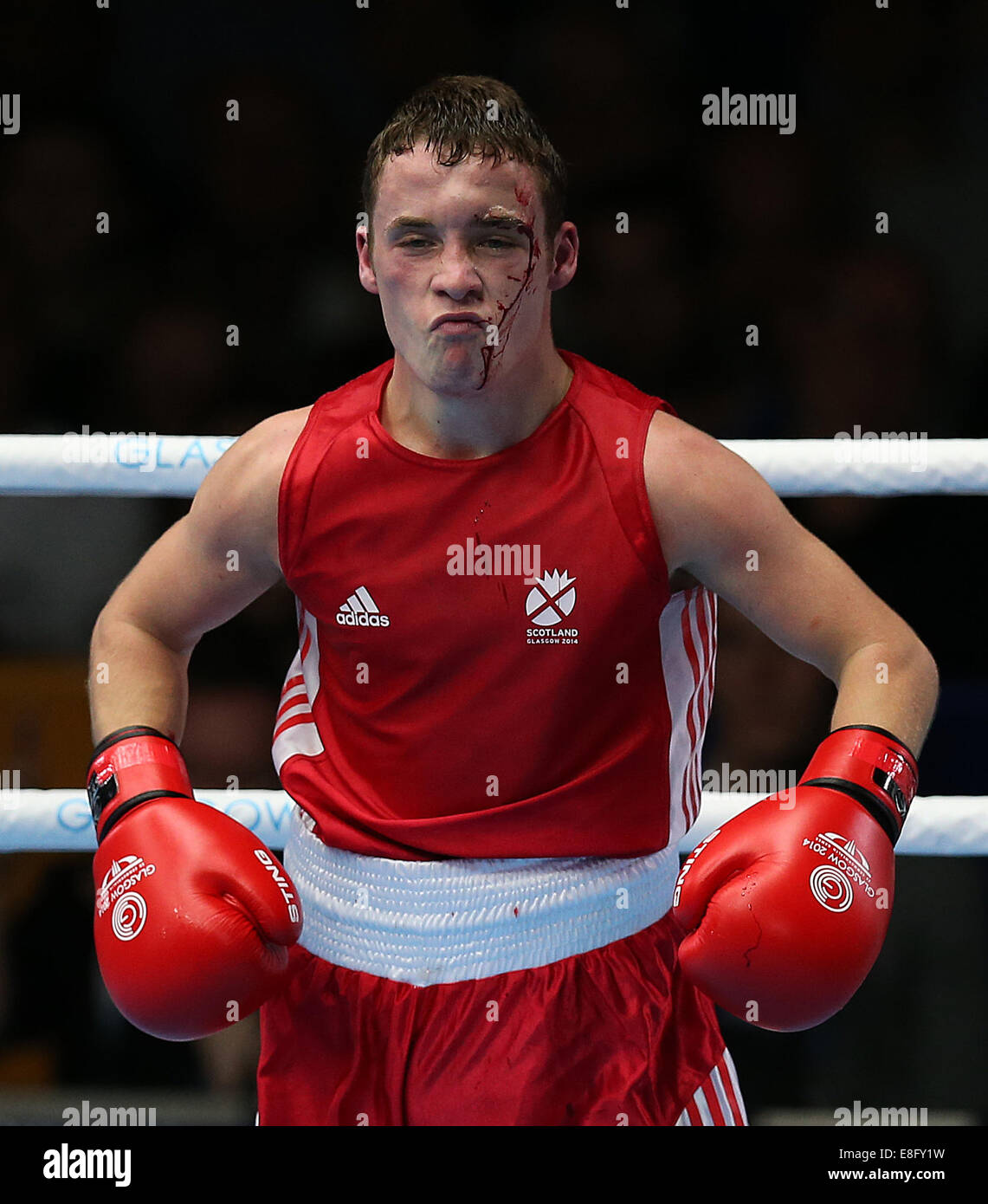 Andrew moloney boxing hi-res stock photography and images - Alamy