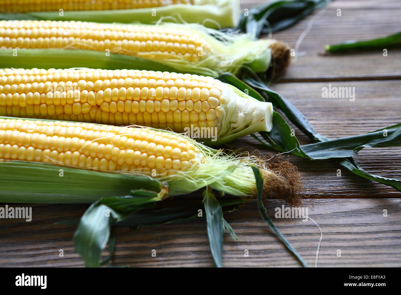cobs fresh sweet corn, top view Stock Photo - Alamy