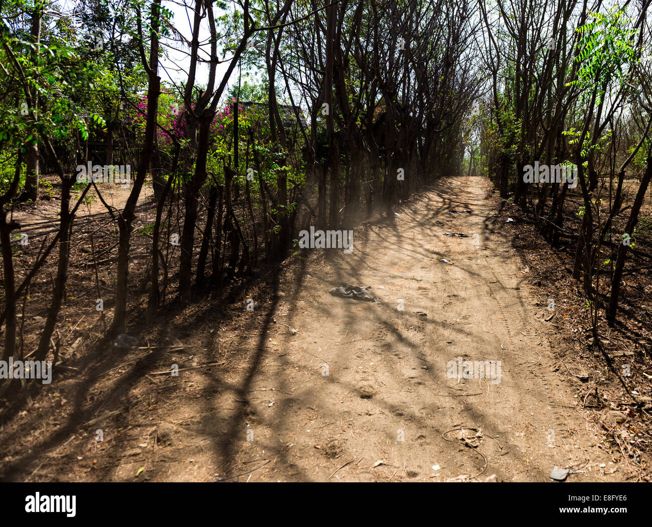 Quiet Path behind the village Stock Photo - Alamy