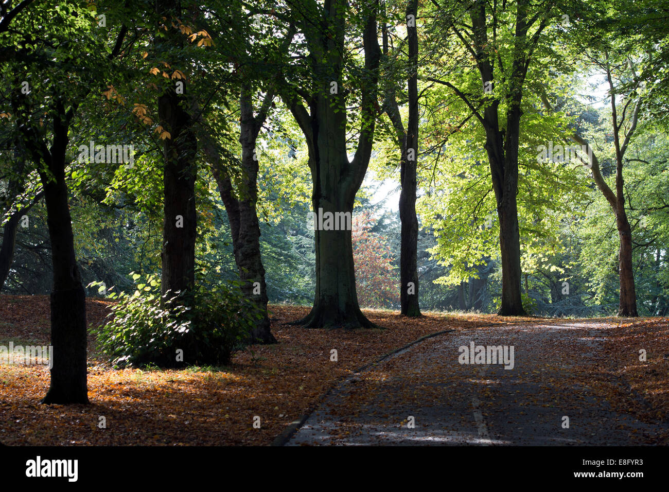 Brinton Park, Kidderminster, Worcestershire, England, UK Stock Photo ...