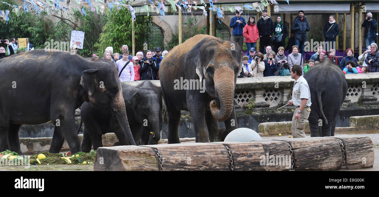 Hanover, Germany. 07th Oct, 2014. Visitors looks at 32 year old ...