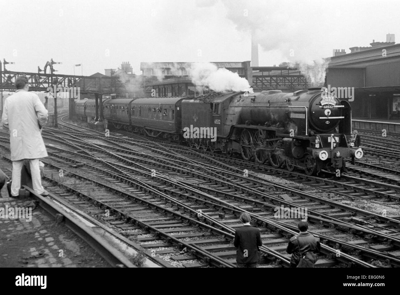 original british railways steam locomotive peppercorn class a2 60532 ...