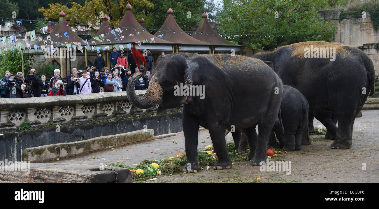 Hanover, Germany. 07th Oct, 2014. Visitors looks at 32 year old ...