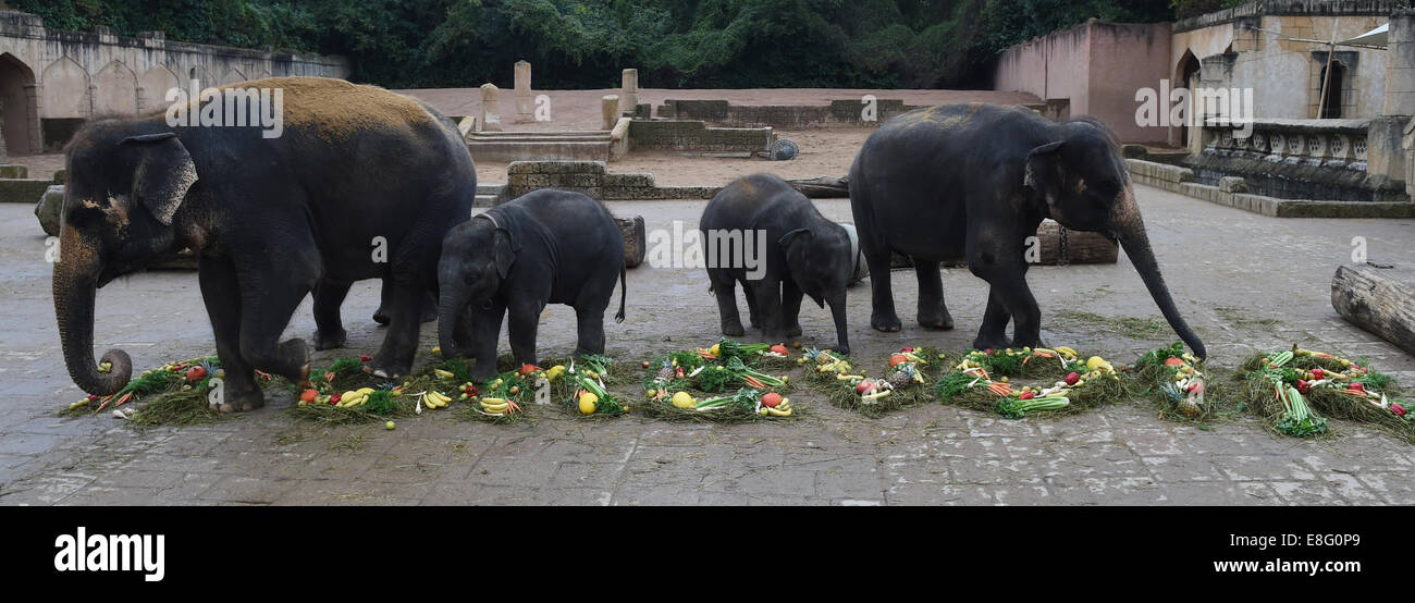 Hanover, Germany. 07th Oct, 2014. Visitors looks at 32 year old ...