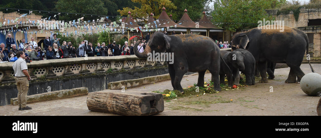 Hanover, Germany. 07th Oct, 2014. Visitors looks at 32 year old ...