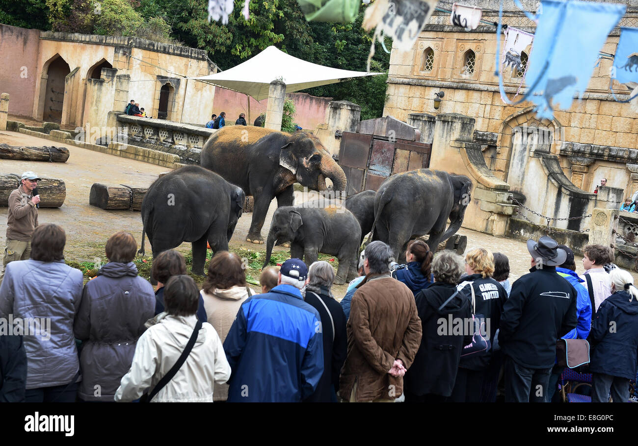 Hanover, Germany. 07th Oct, 2014. Visitors looks at 32 year old ...