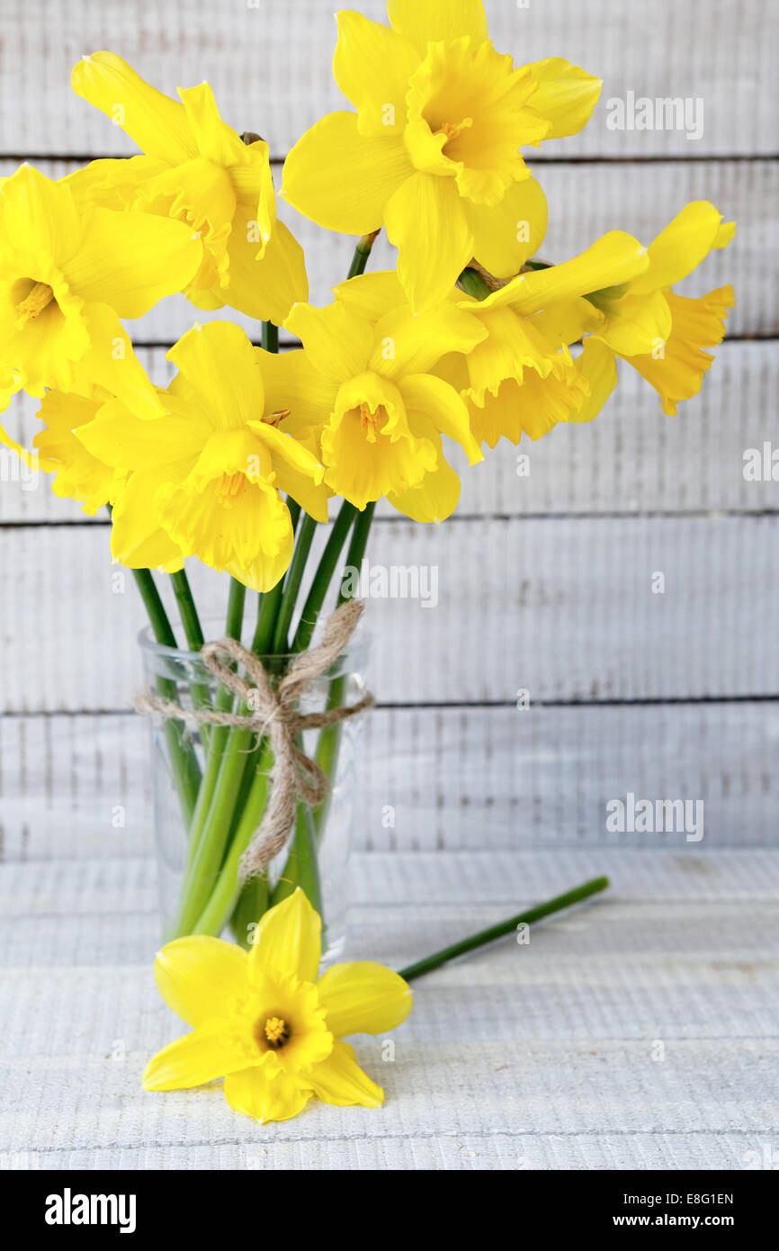 Daffodil flower vase hi-res stock photography and images - Alamy