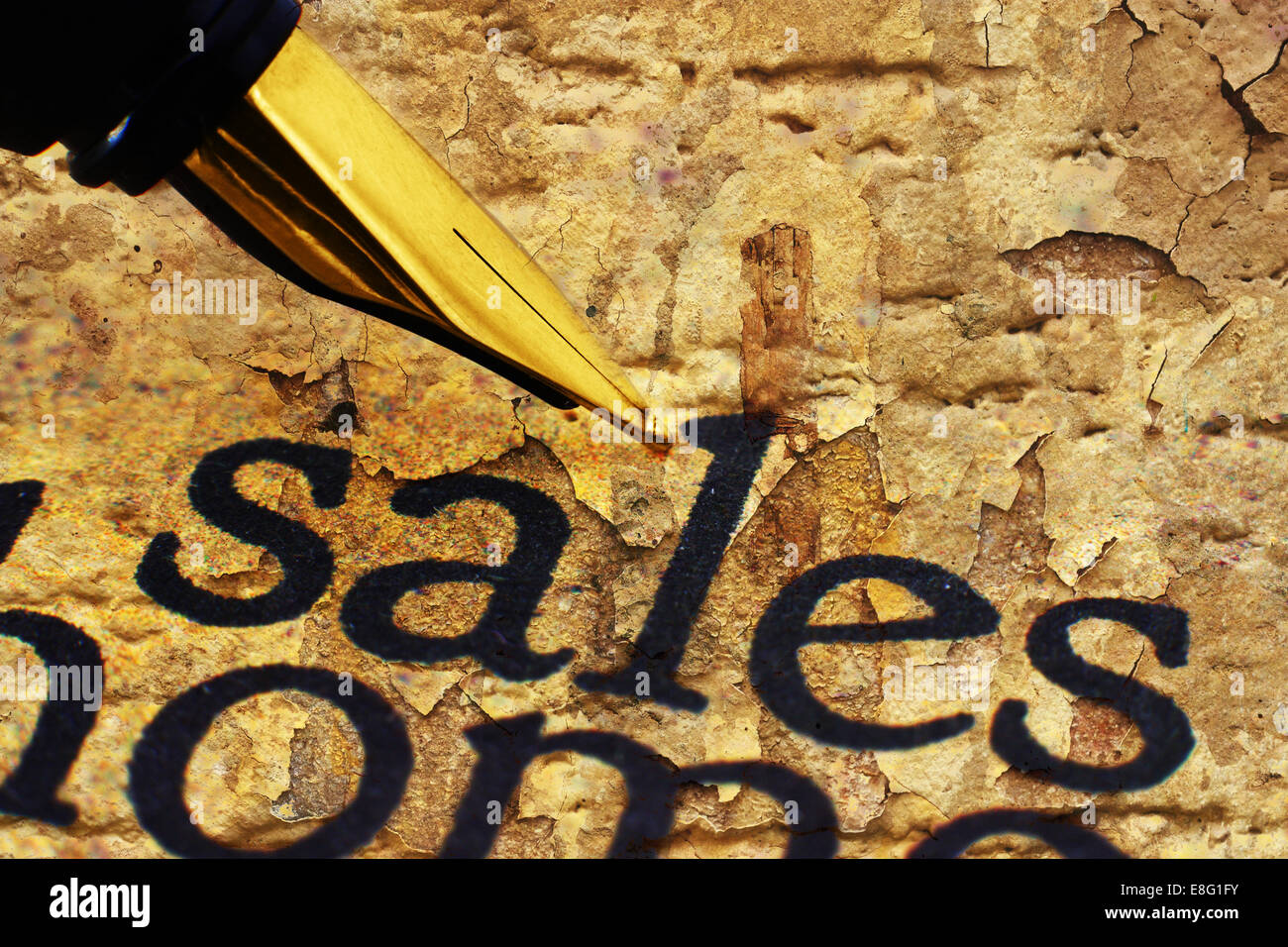 Fountain pen on sales text Stock Photo - Alamy
