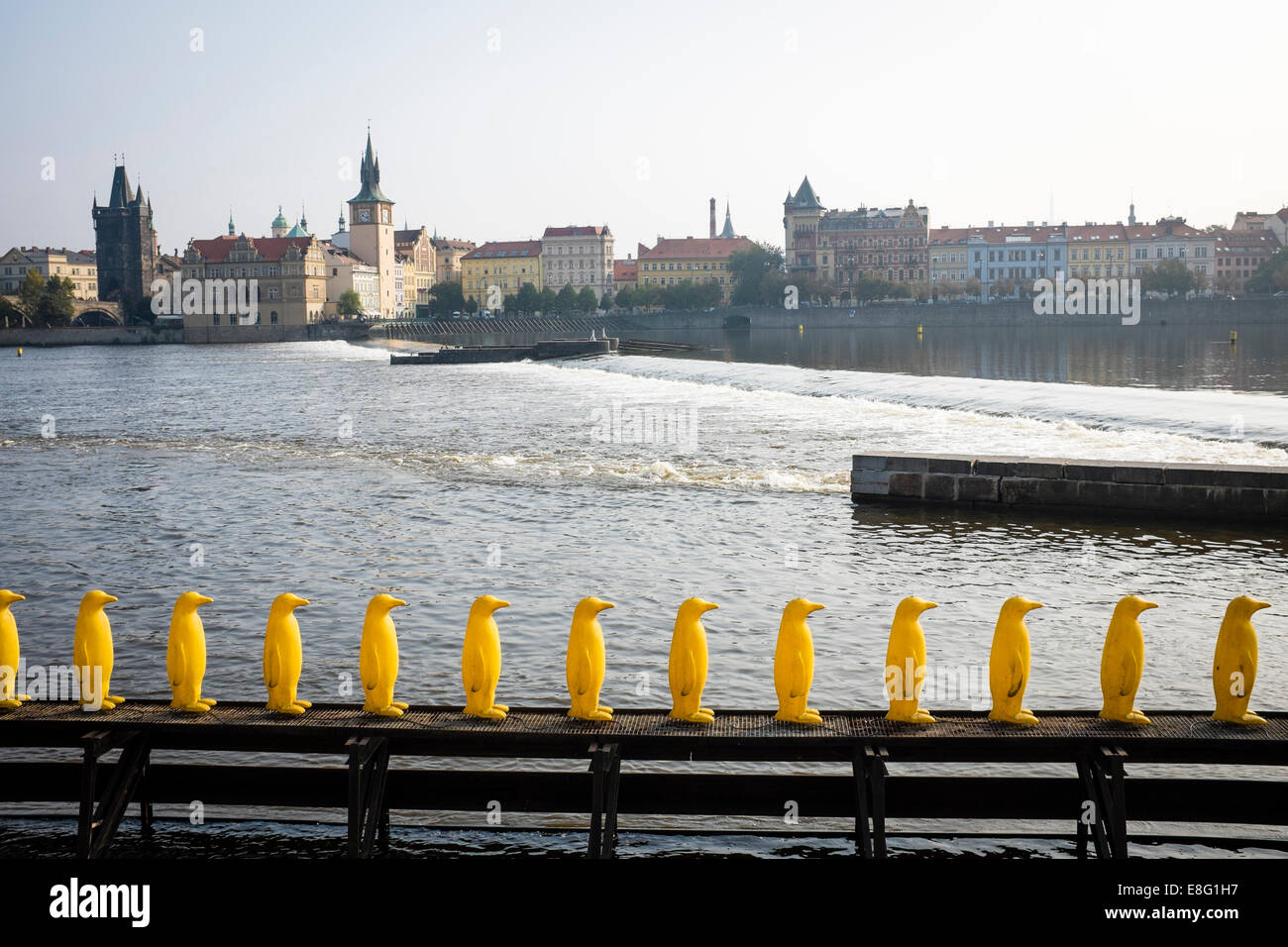 Yellow penguins, Vltava river bank, Kampa, Praha Stock Photo - Alamy