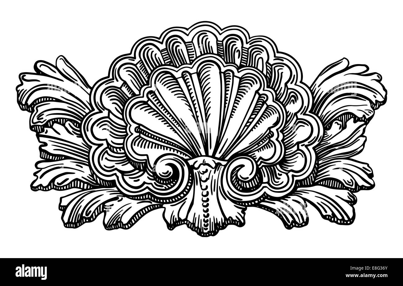 heraldry clam shell sketch calligraphic drawing isolated on whit Stock ...