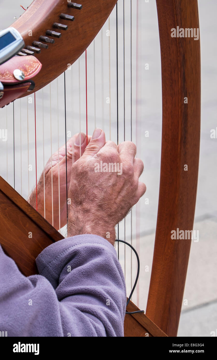 Irish harp players hands Cambridge Cambridgeshire England U.K. 2014 ...