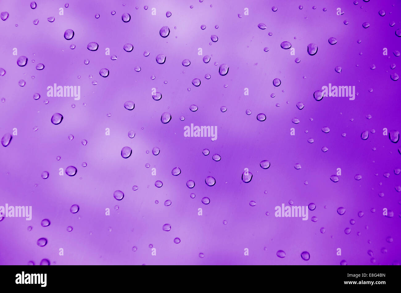 abstract violet color background with drop water Stock Photo - Alamy
