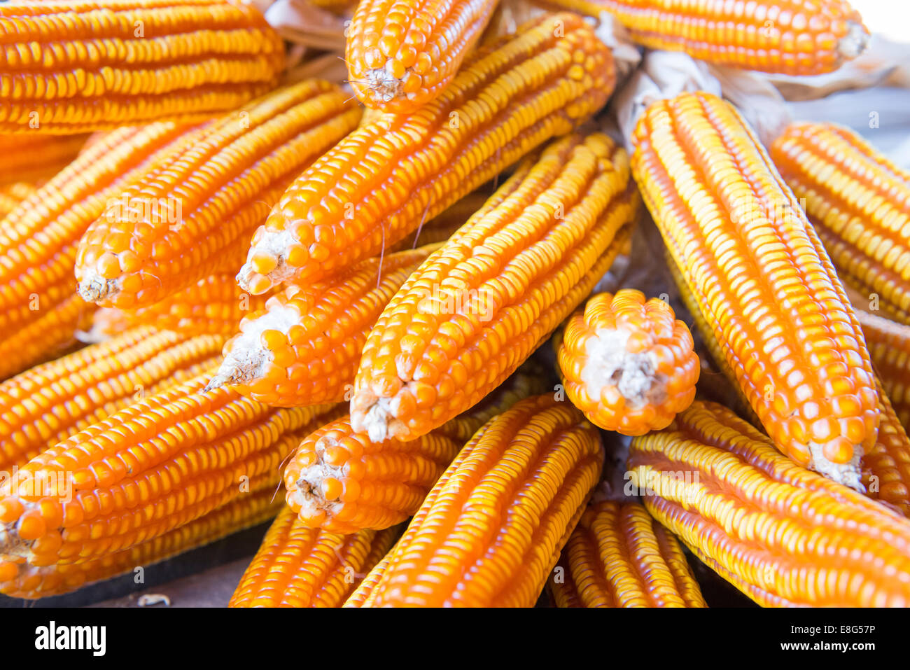 Lahu Tribe Stock Photos & Lahu Tribe Stock Images - Alamy