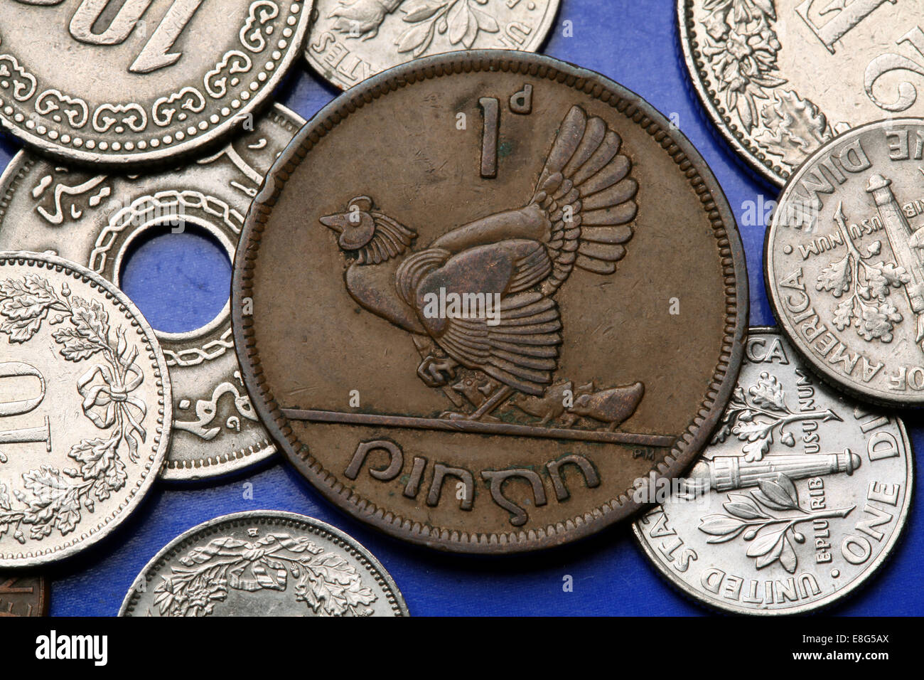 Coins of Ireland. Hen with chickens depicted in the old Irish one penny ...