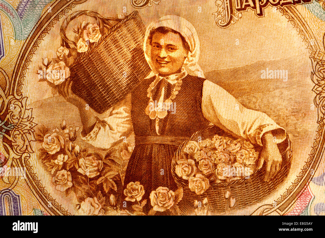 Detail from a 1950s Bulgarian 50 Lev banknote showing a woman picking ...