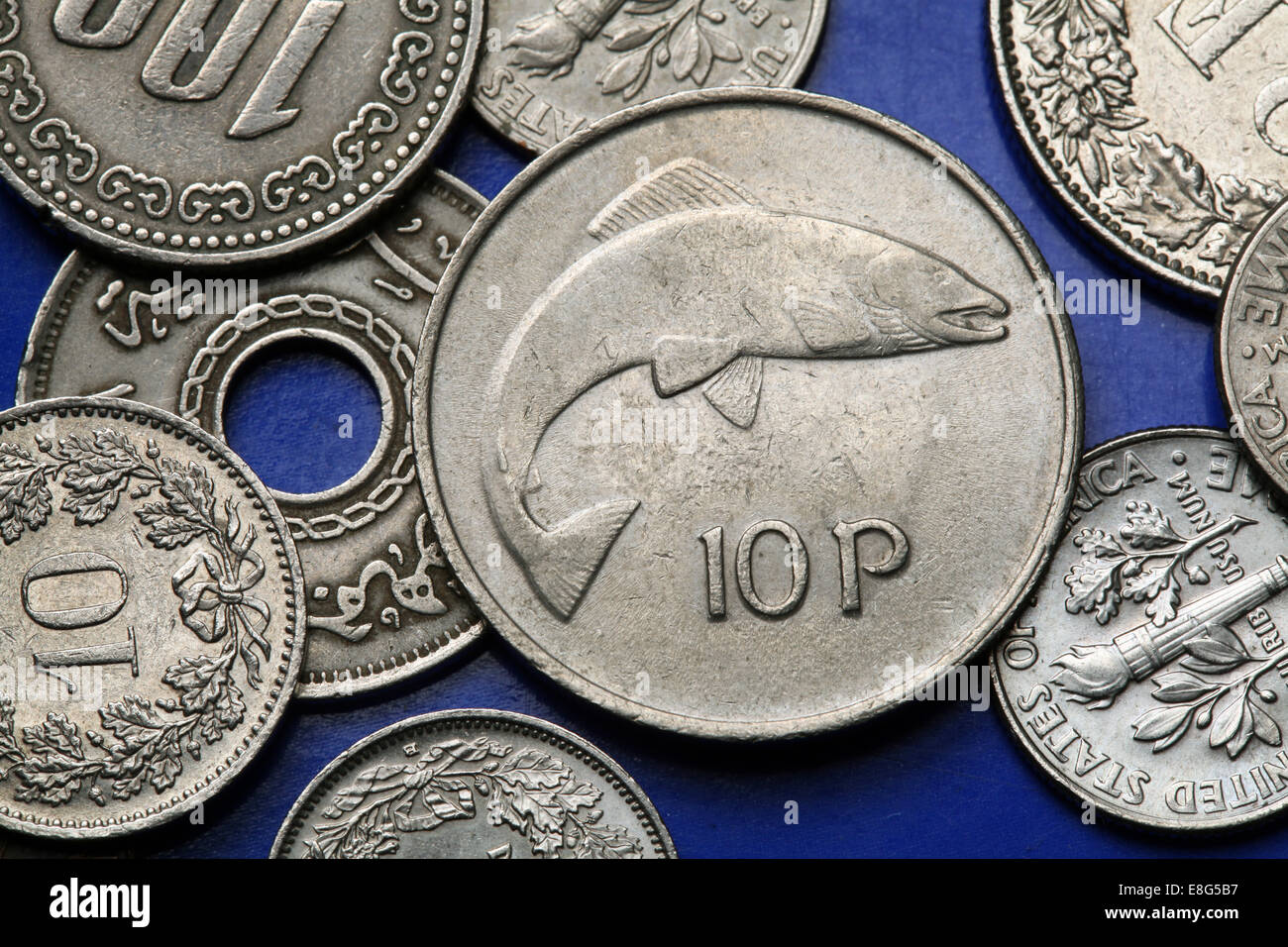 Coins of Ireland. Salmon depicted in the old Irish ten pence coin (1980 ...