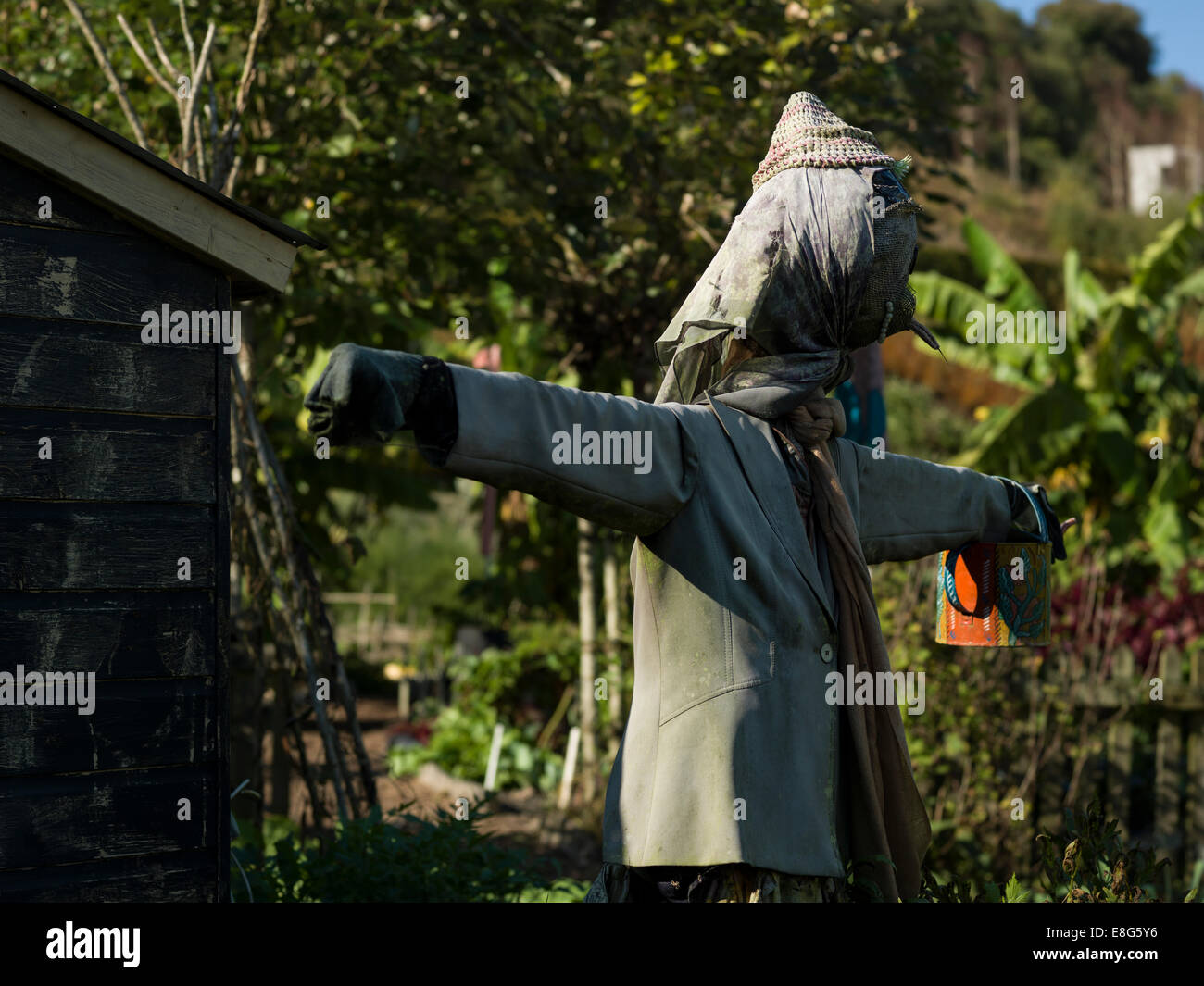 Scare crow hi-res stock photography and images - Alamy