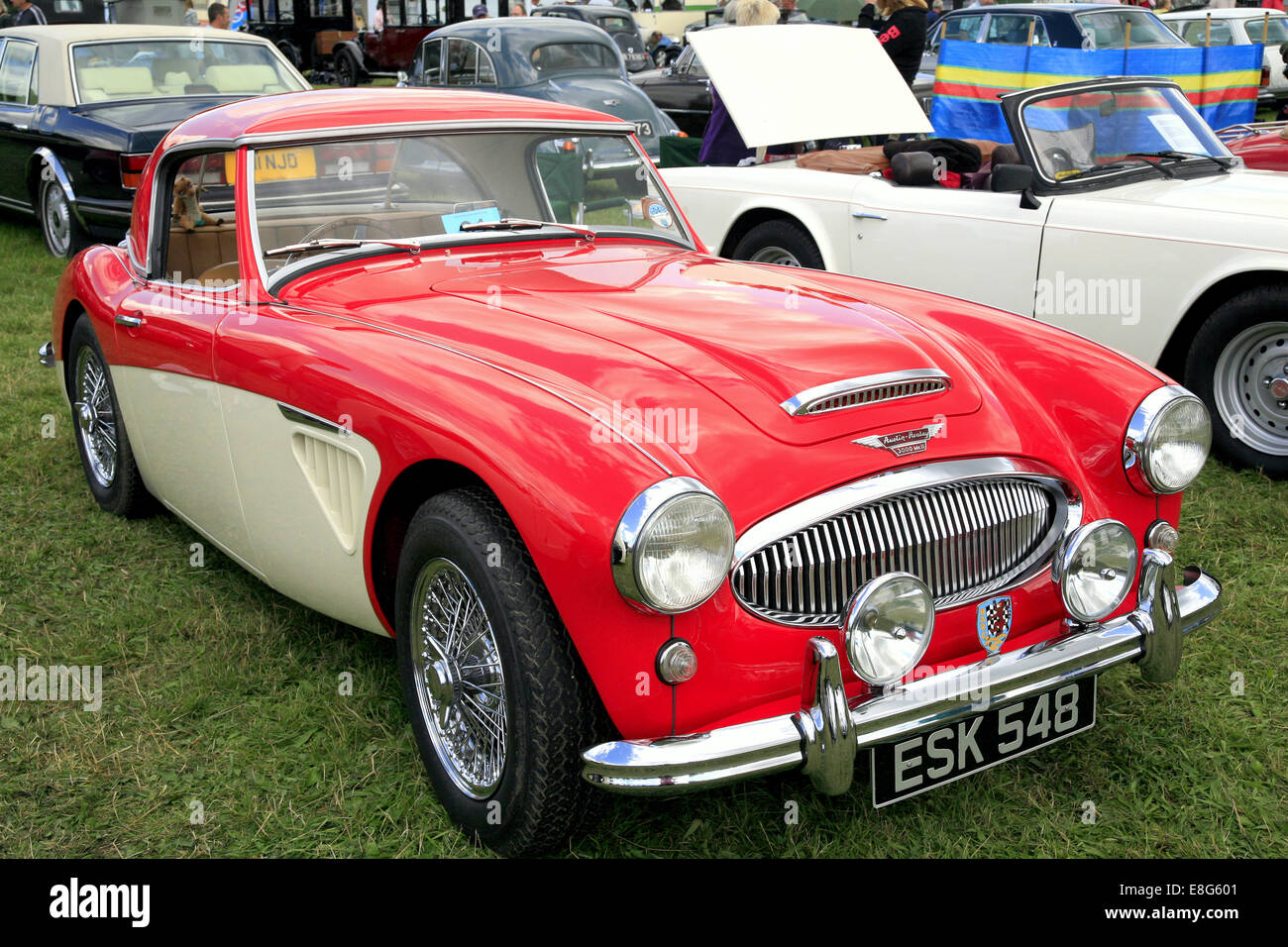 A classic vintage 1962 Austin Healey 3000 sports car on display at the ...