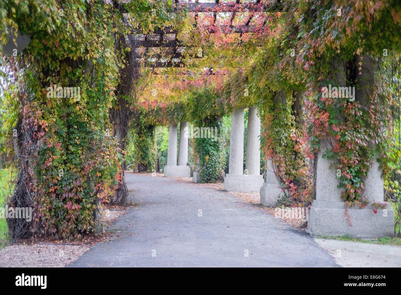 Wroclaw Pergola near Hala Stulecia Centennial Hall with colorful autumn ...