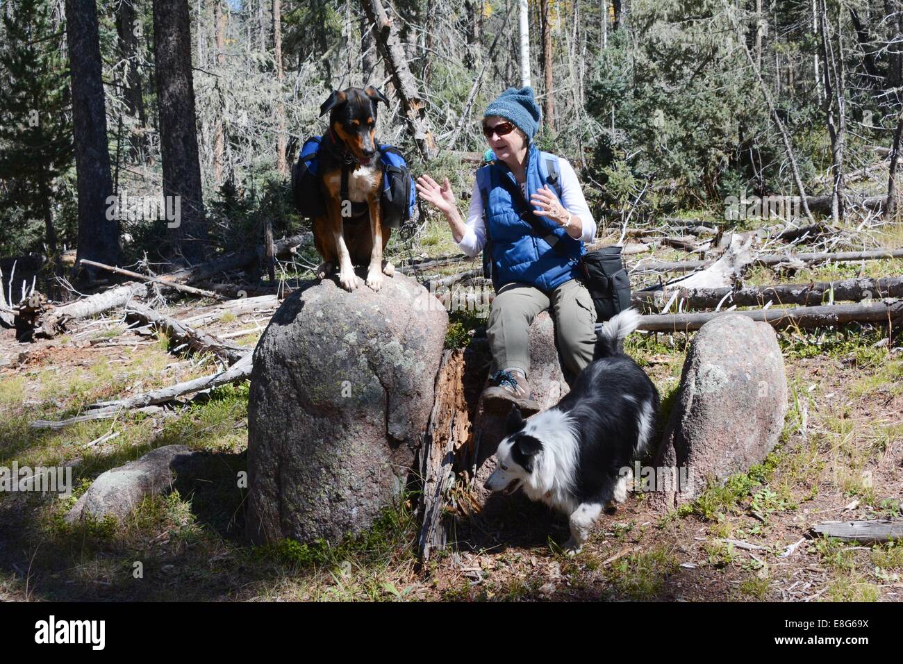Break time for my sister and our dogs while on a hike Stock Photo - Alamy