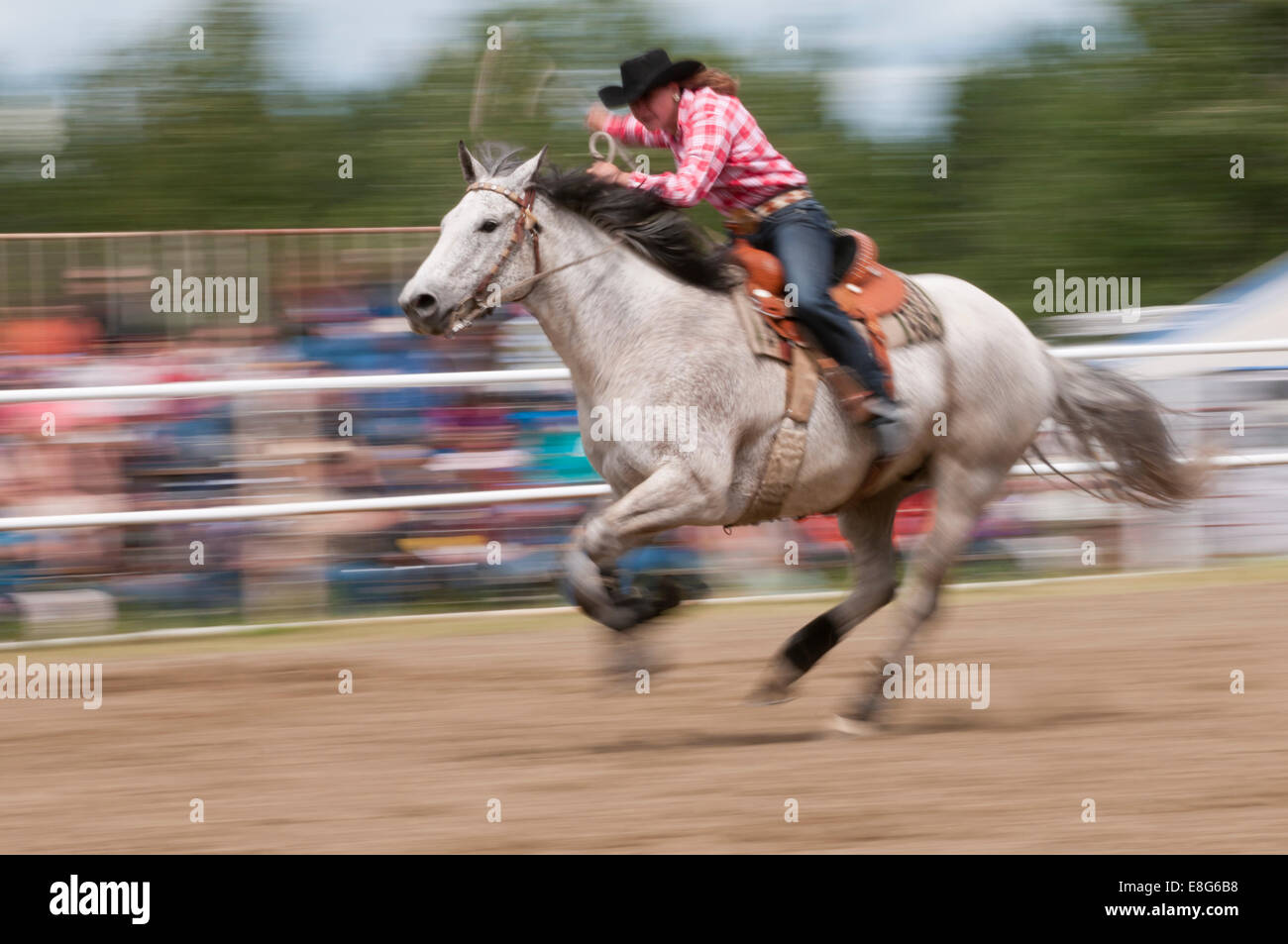 Stampede cowgirls hi-res stock photography and images - Alamy