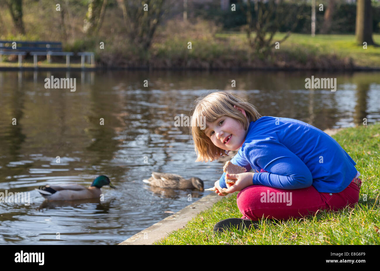 Child with ducks hi-res stock photography and images - Alamy