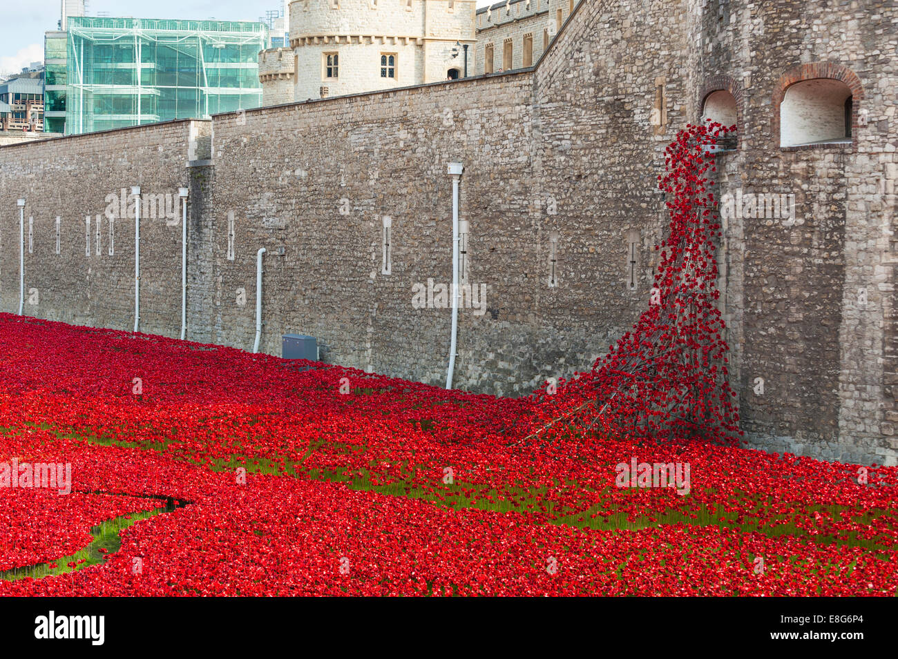 The Tower of London remembers First World War WW1 WWI - Blood Swept ...
