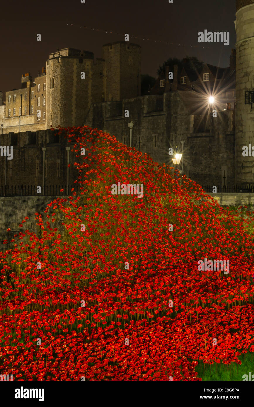 The Tower of London remembers First World War WW1 WWI - Blood Swept ...
