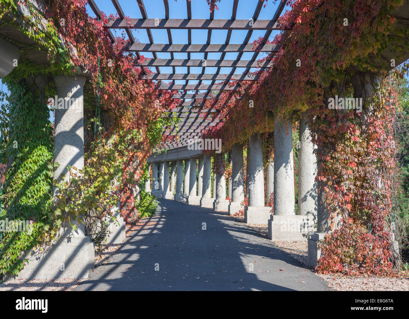 Wroclaw Pergola near Hala Stulecia Centennial Hall with colorful autumn ...