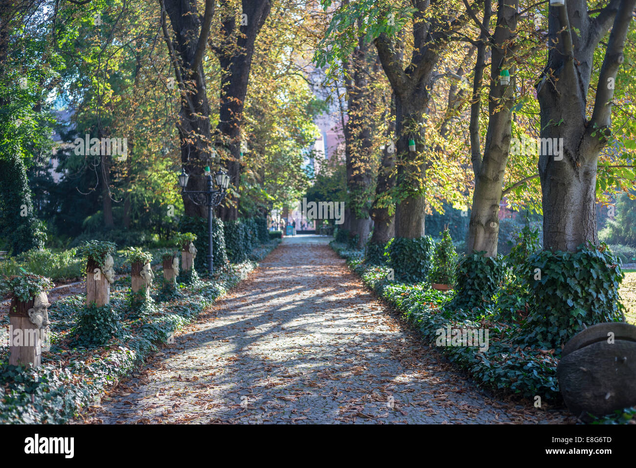 Wroclaw Botanical Gardens in colorful autumn Stock Photo - Alamy