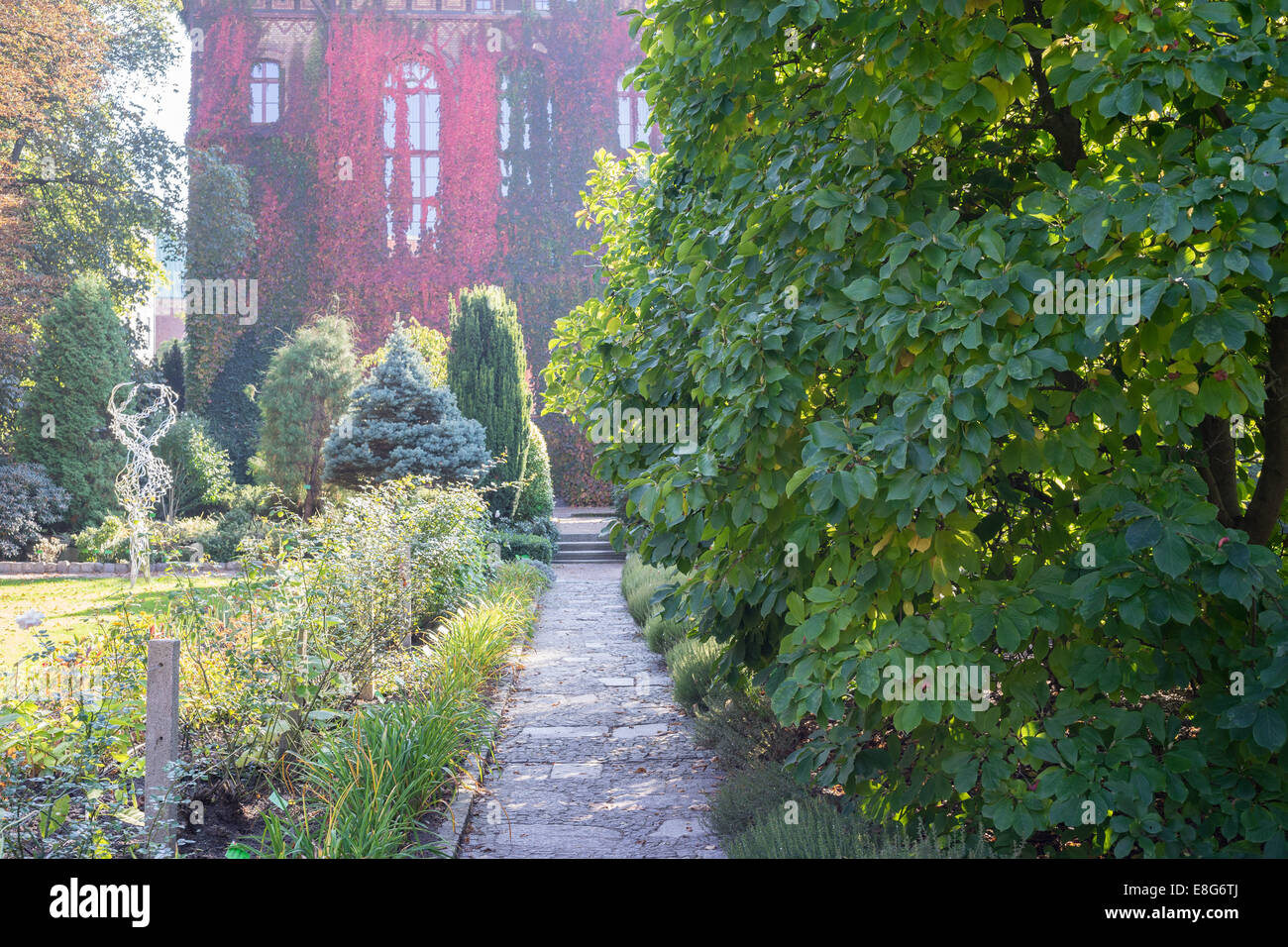Wroclaw Botanical Gardens in colorful autumn Stock Photo - Alamy