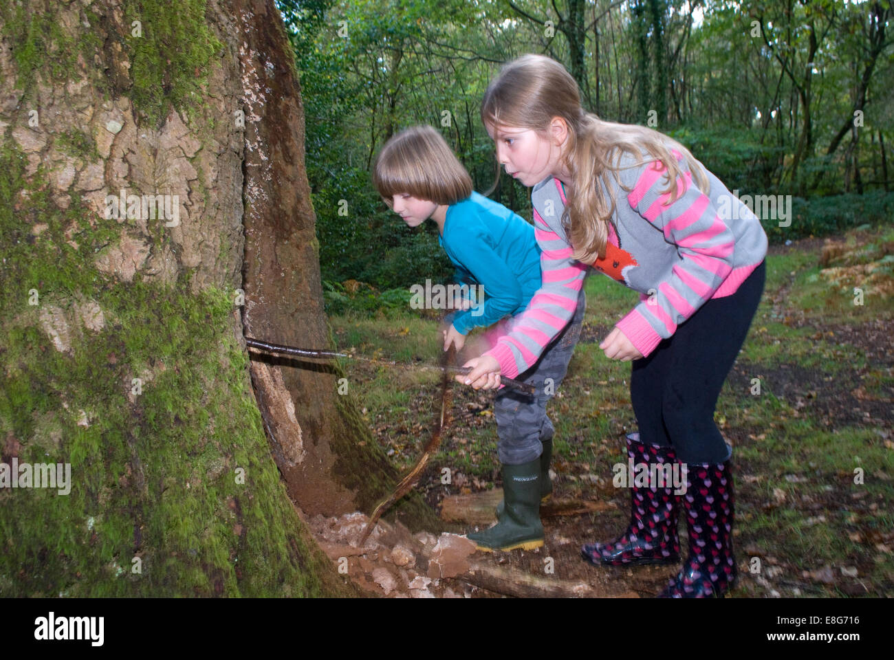 Brother & sister exploring the great outdoors, Bordon, Hampshire, UK ...