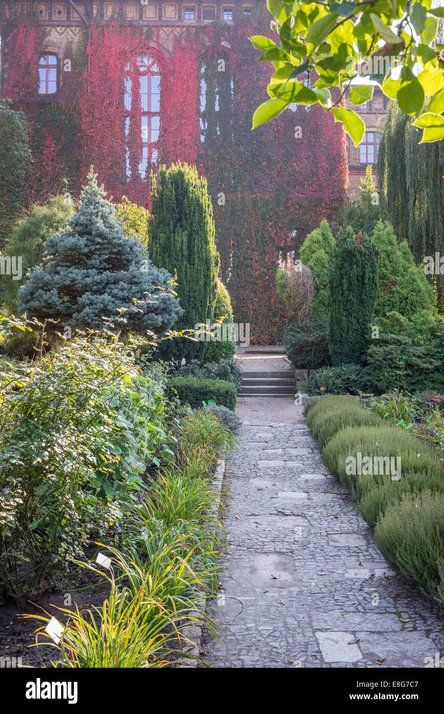 Wroclaw Botanical Gardens in colorful autumn Stock Photo - Alamy