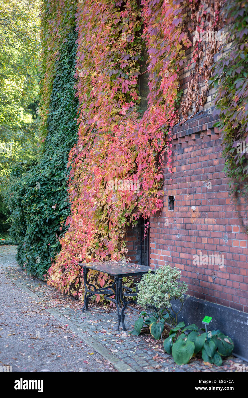 Wroclaw Botanical Gardens in colorful autumn Stock Photo - Alamy