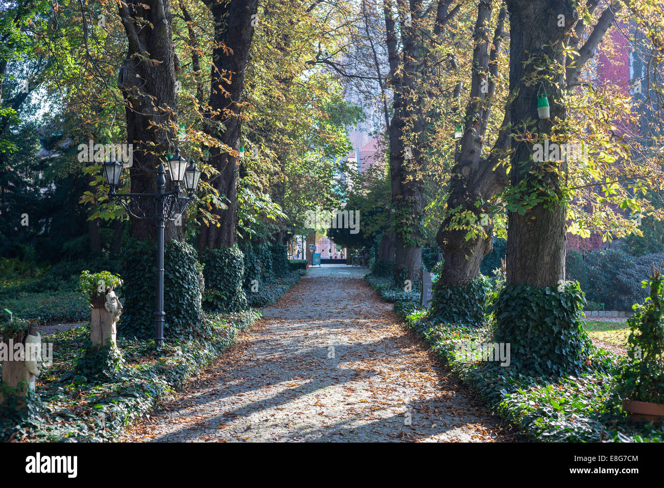 Wroclaw Botanical Gardens in colorful autumn Stock Photo - Alamy
