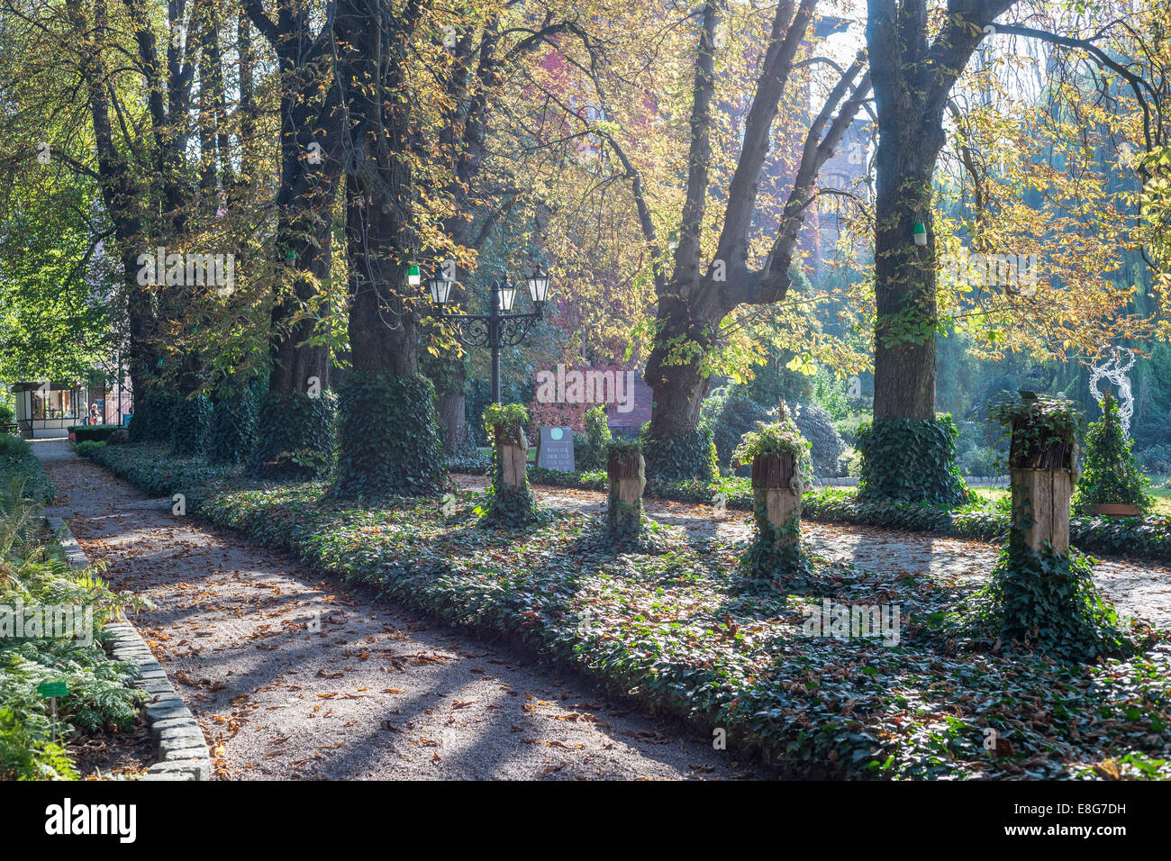 Wroclaw Botanical Gardens in colorful autumn Stock Photo - Alamy