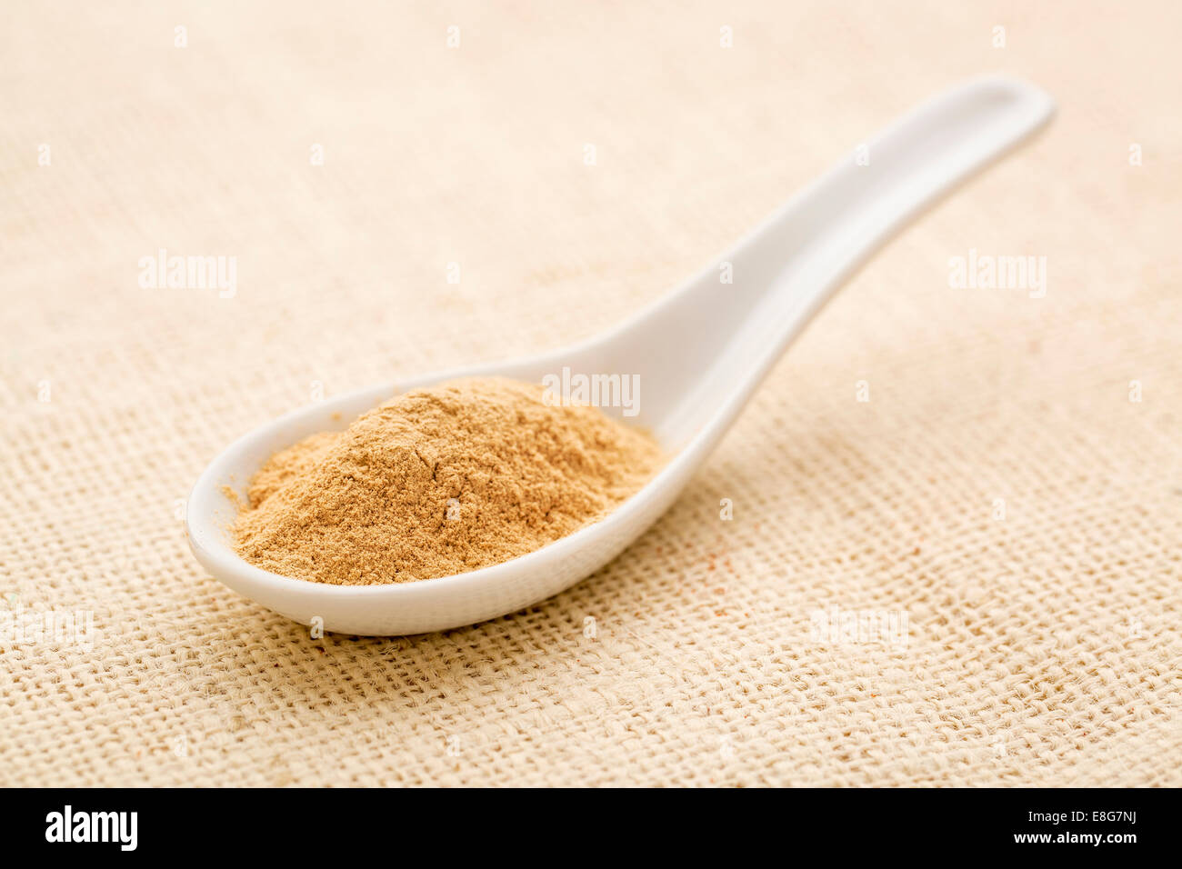 organic ginseng root powder on a white Chinese spoon against burlap ...