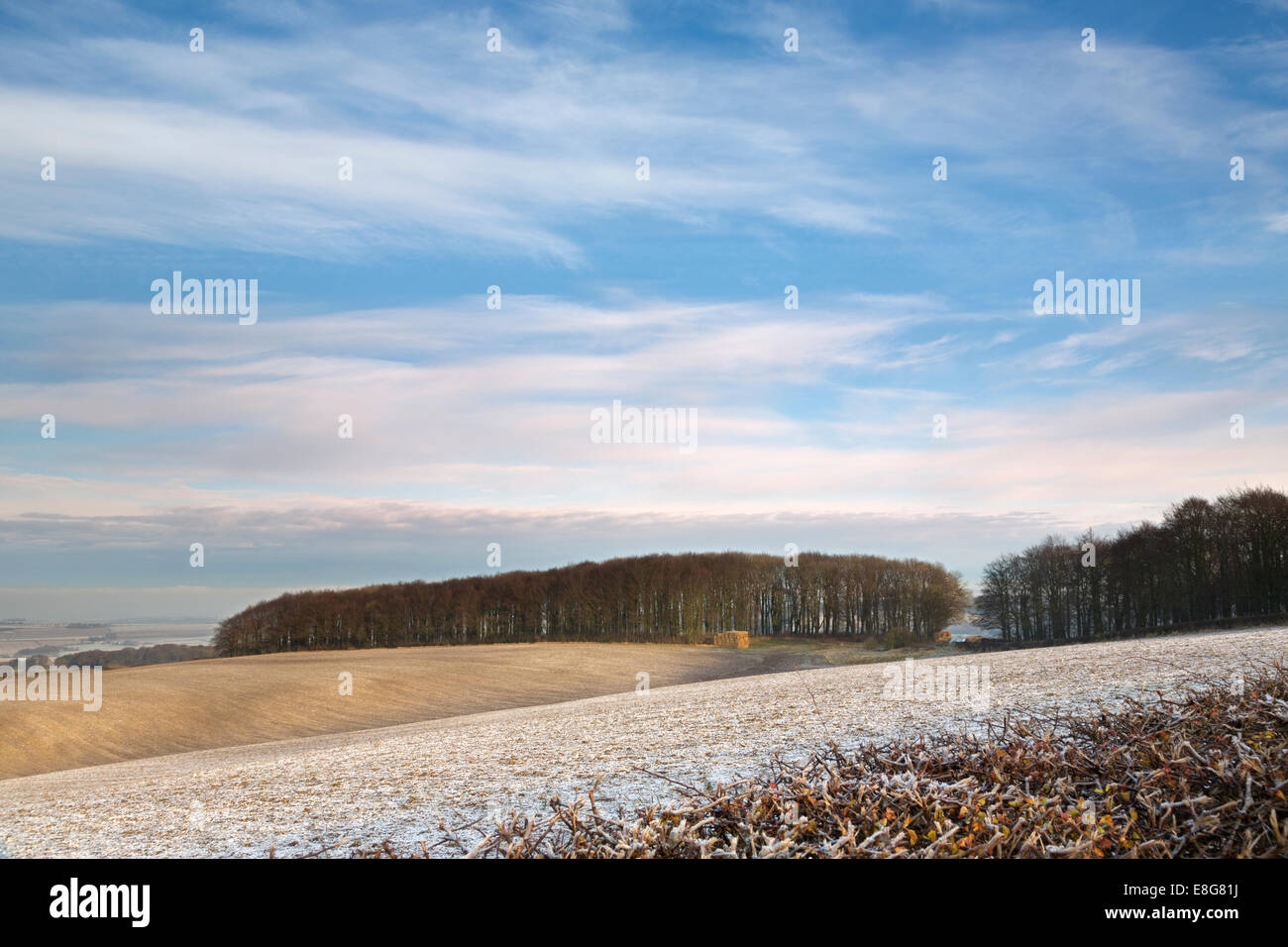 Wood on wolds hi-res stock photography and images - Alamy