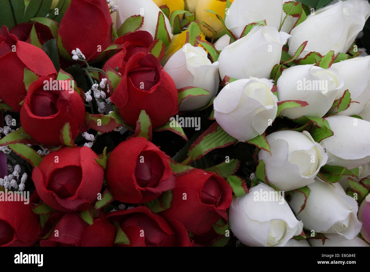 Bouquet of White red and yellow roses Stock Photo - Alamy