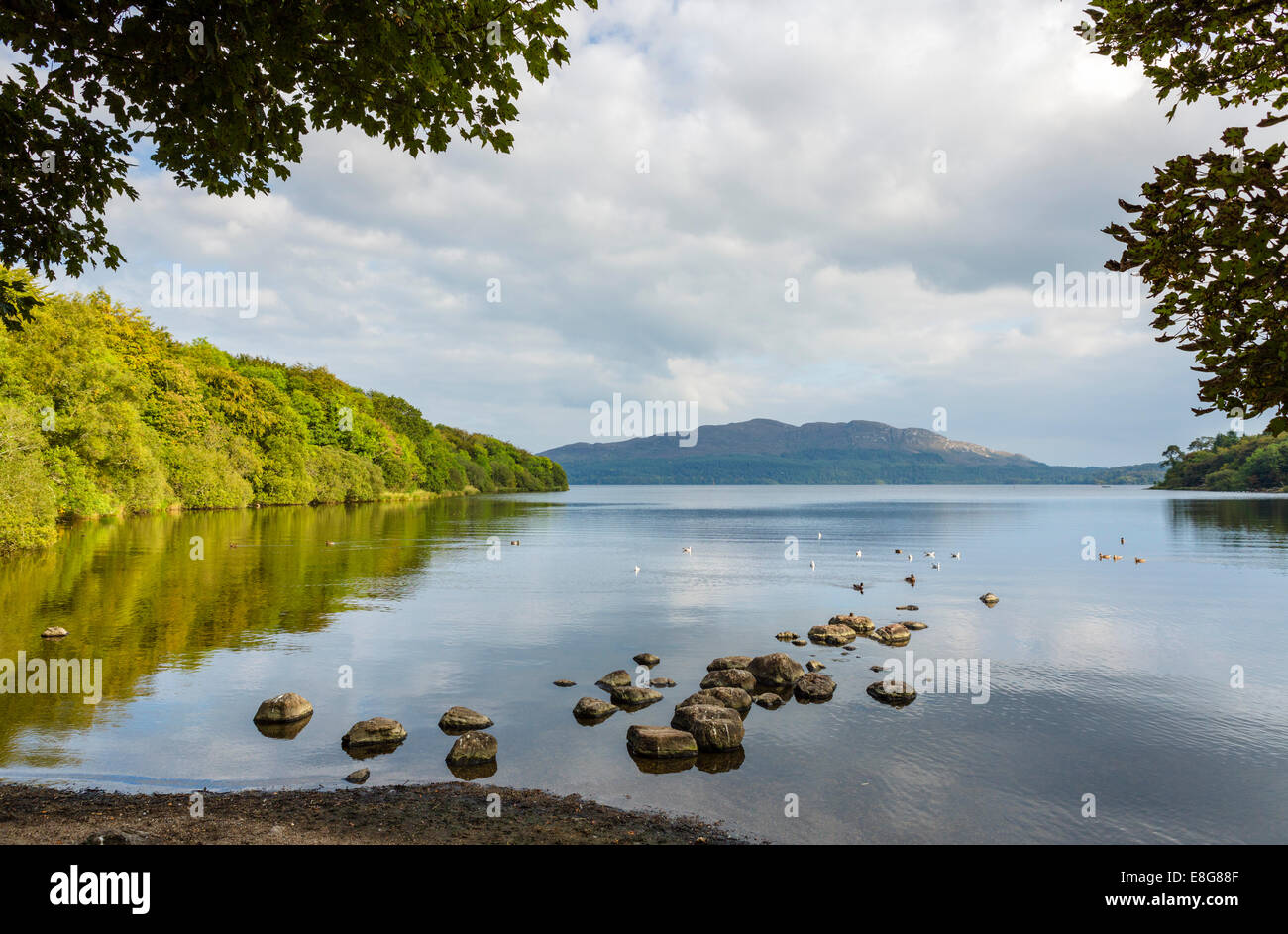 Innisfree ireland lake High Resolution Stock Photography and Images - Alamy