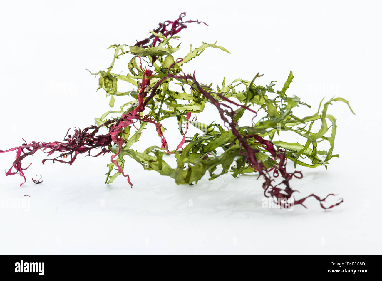 dehydrated seaweed salad mix isolated on a white background Stock Photo ...