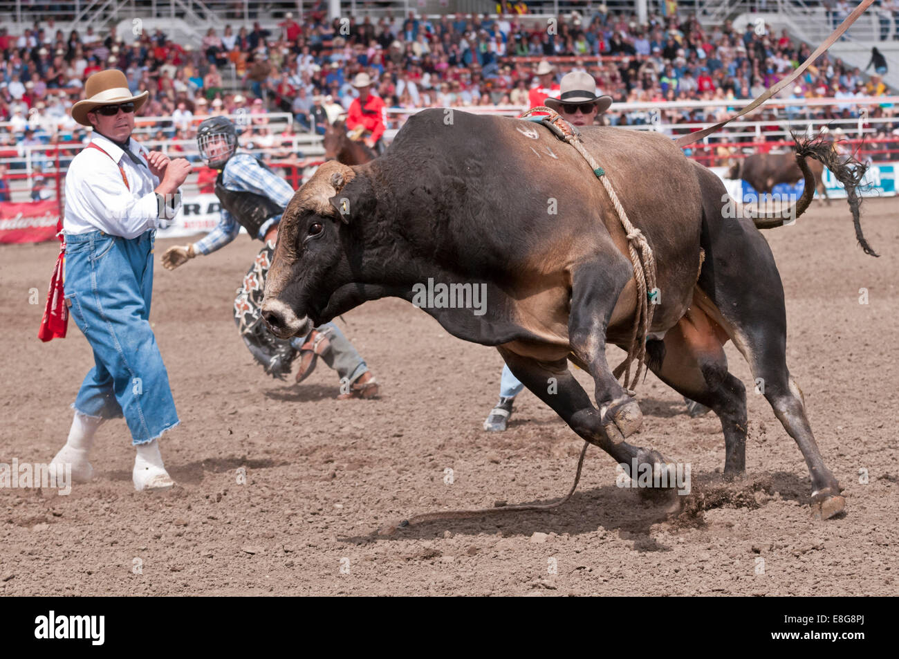 Rodeo Clown And Bull Rider High Resolution Stock Photography and Images ...