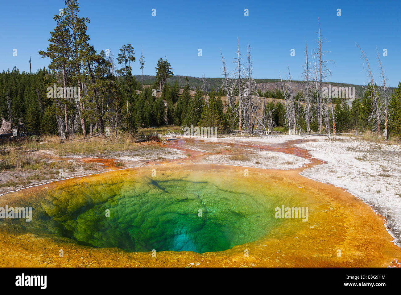 Beautiful geyser in yellowstone hi-res stock photography and images - Alamy